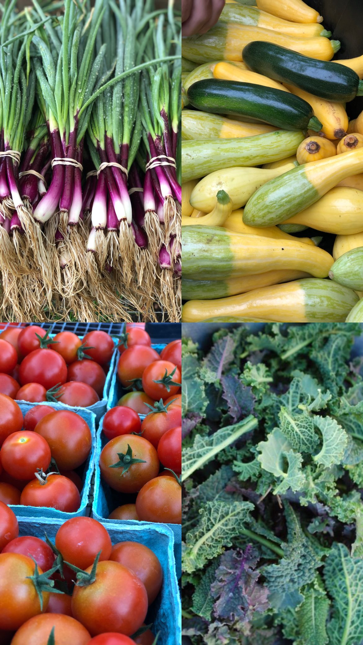 Farm Tour 2021: Get to know our farms - and farmers - Tallahassee Table